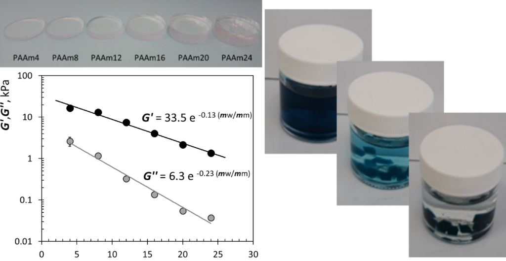 Rheology of hydrogels and their nanocomposites | Institute of Chemical ...